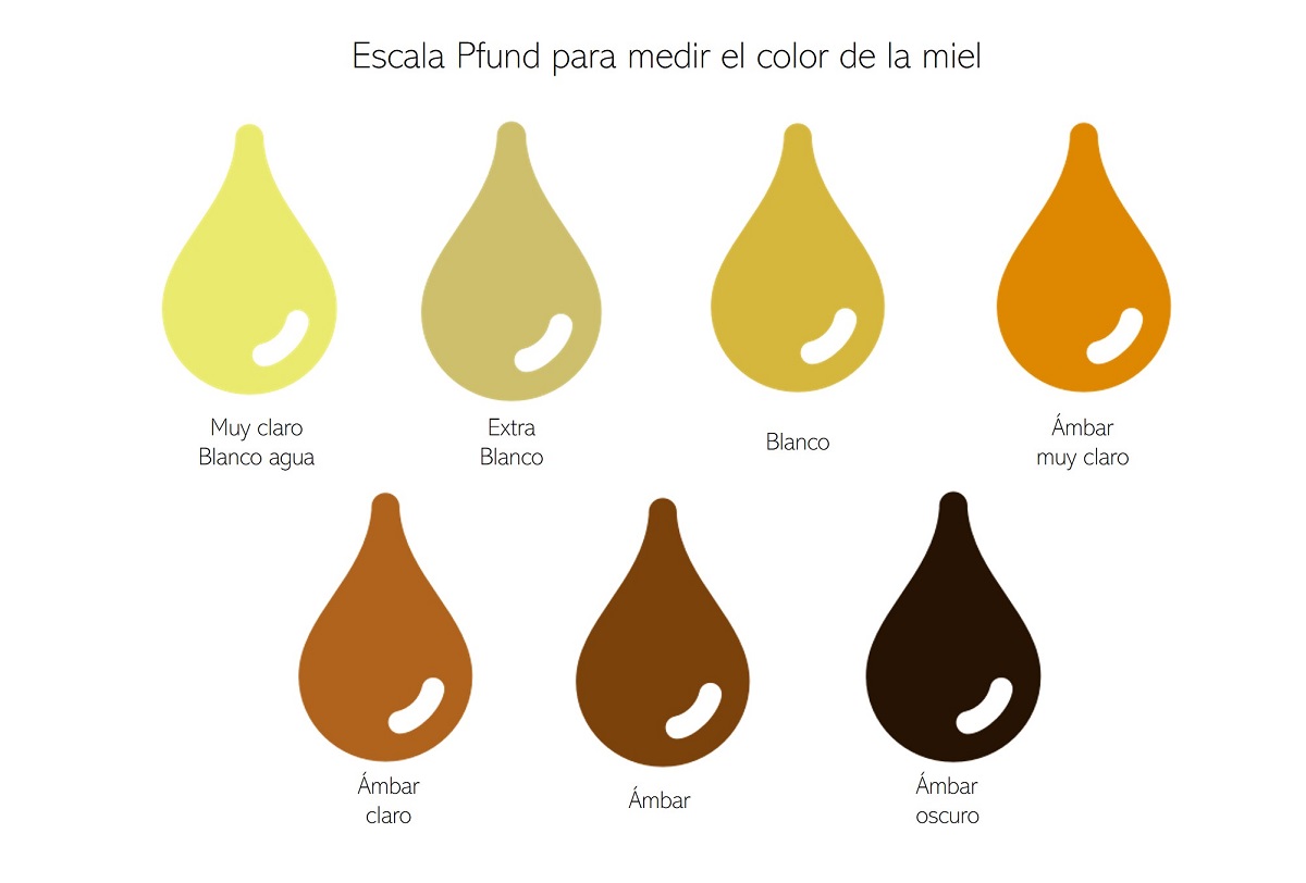 ¡Descubre el Secreto de los Colores de la Miel y su Procedencia!